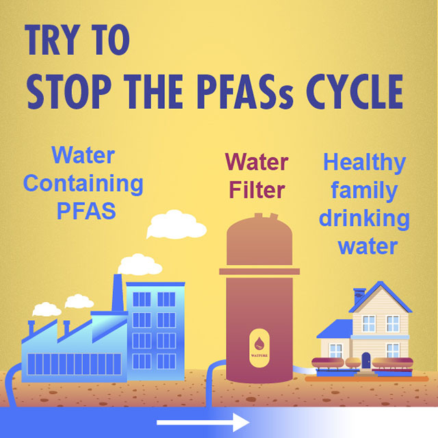 PFASs are now Everywhere and in Everyone